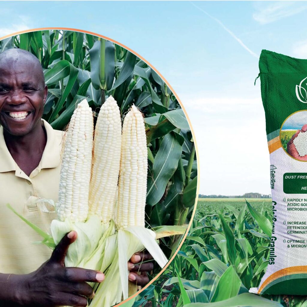 CalciGrow - An Innovative Solution for crop Growth - Chiromo Fertilizers