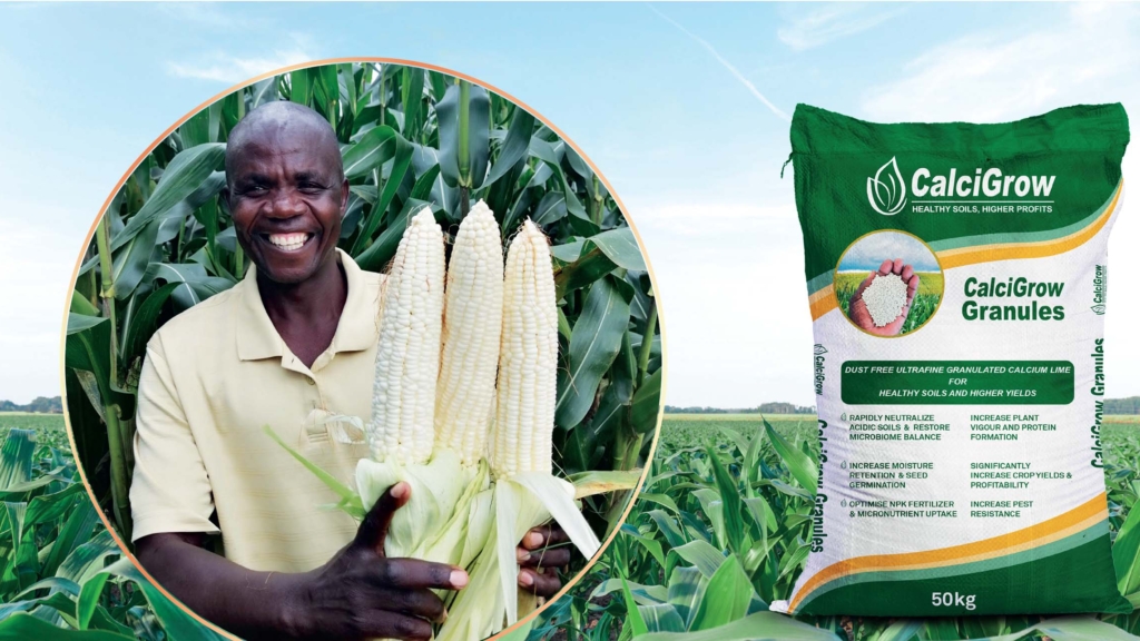 CalciGrow - An Innovative Solution for crop Growth - Chiromo Fertilizers